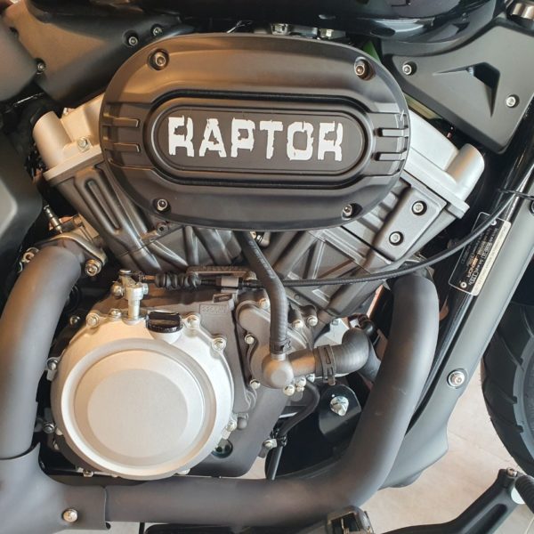 Raptor 2023 - Black - 300cc - Overdrive