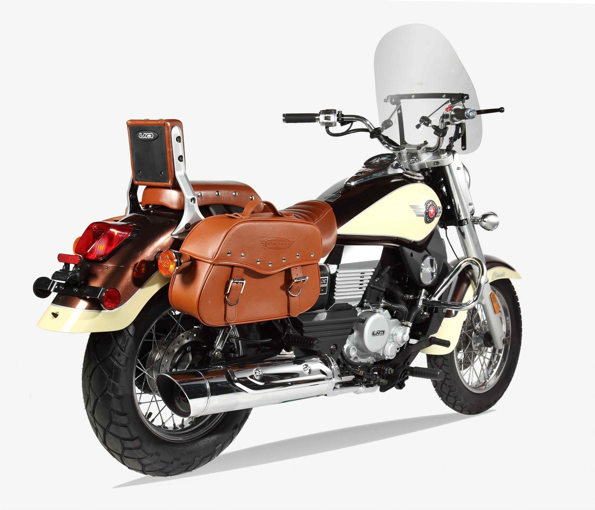 1999 Renegade Motorcycle